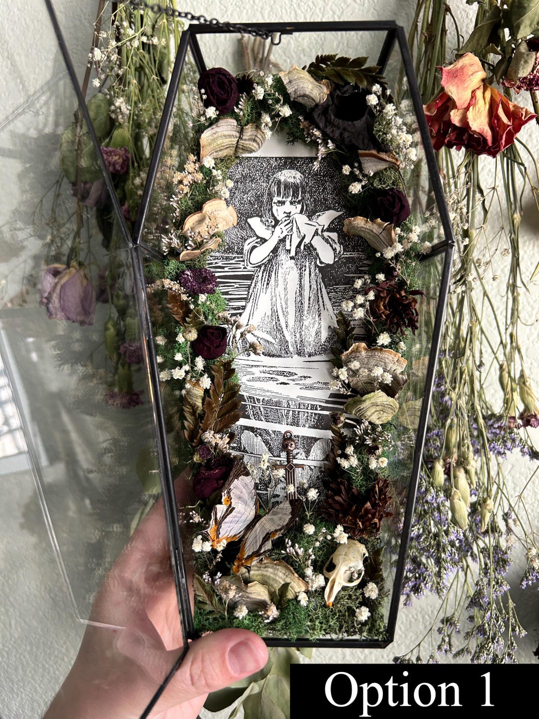 Large Coffin Terrarium Oddity - Etsy