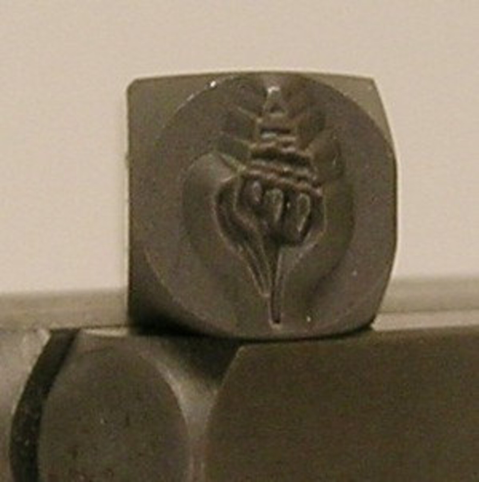 Conch Shell Metal Design Stamp 6mm Metal Jewelry Stamping Tool | Etsy