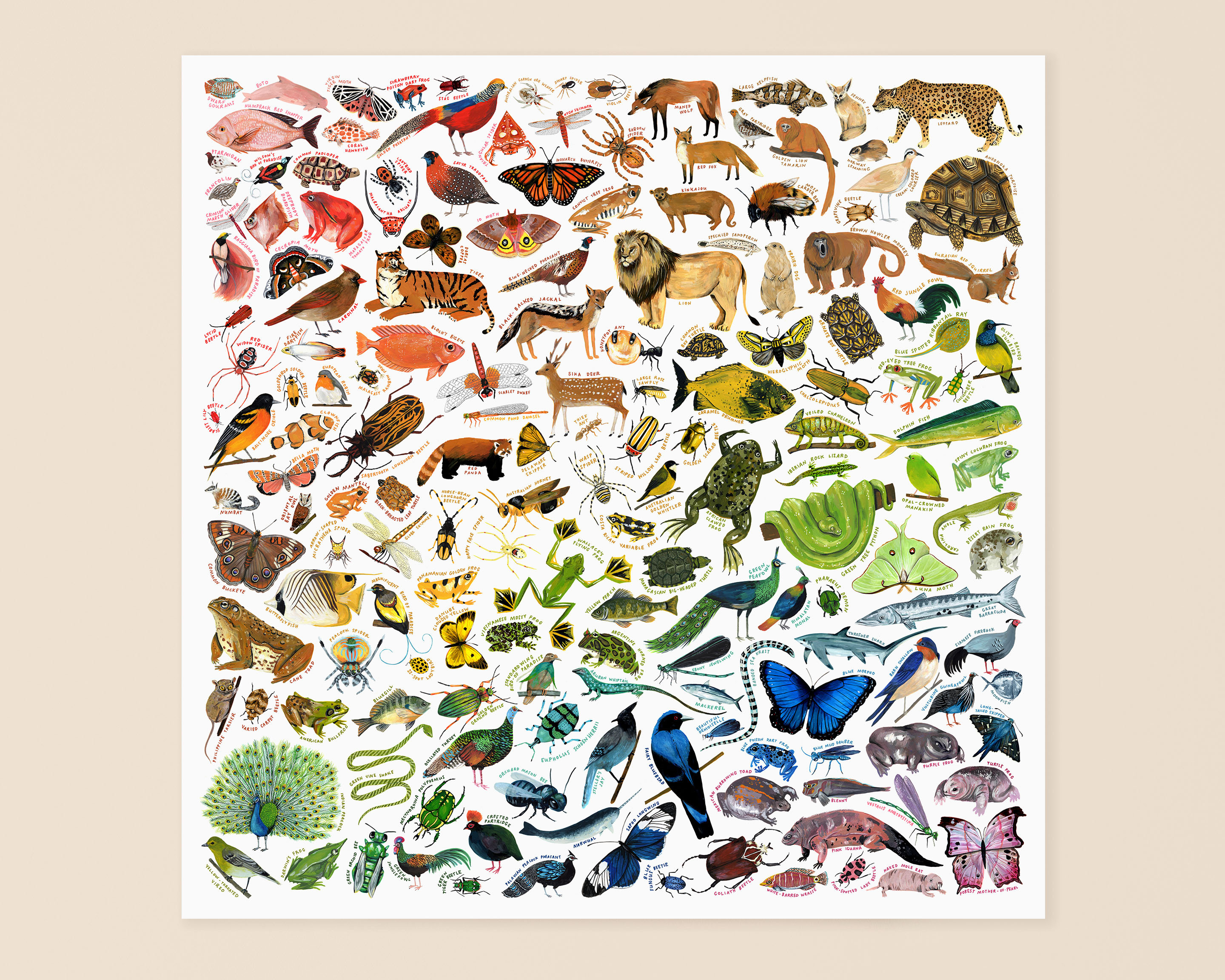 Rainbow of Animals Print - Etsy