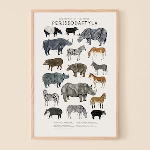 Perissodactyla: Horses, Rhinos, Zebras... - Etsy