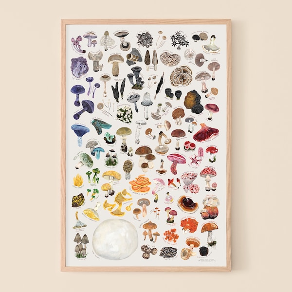 Mushroom Poster - Etsy
