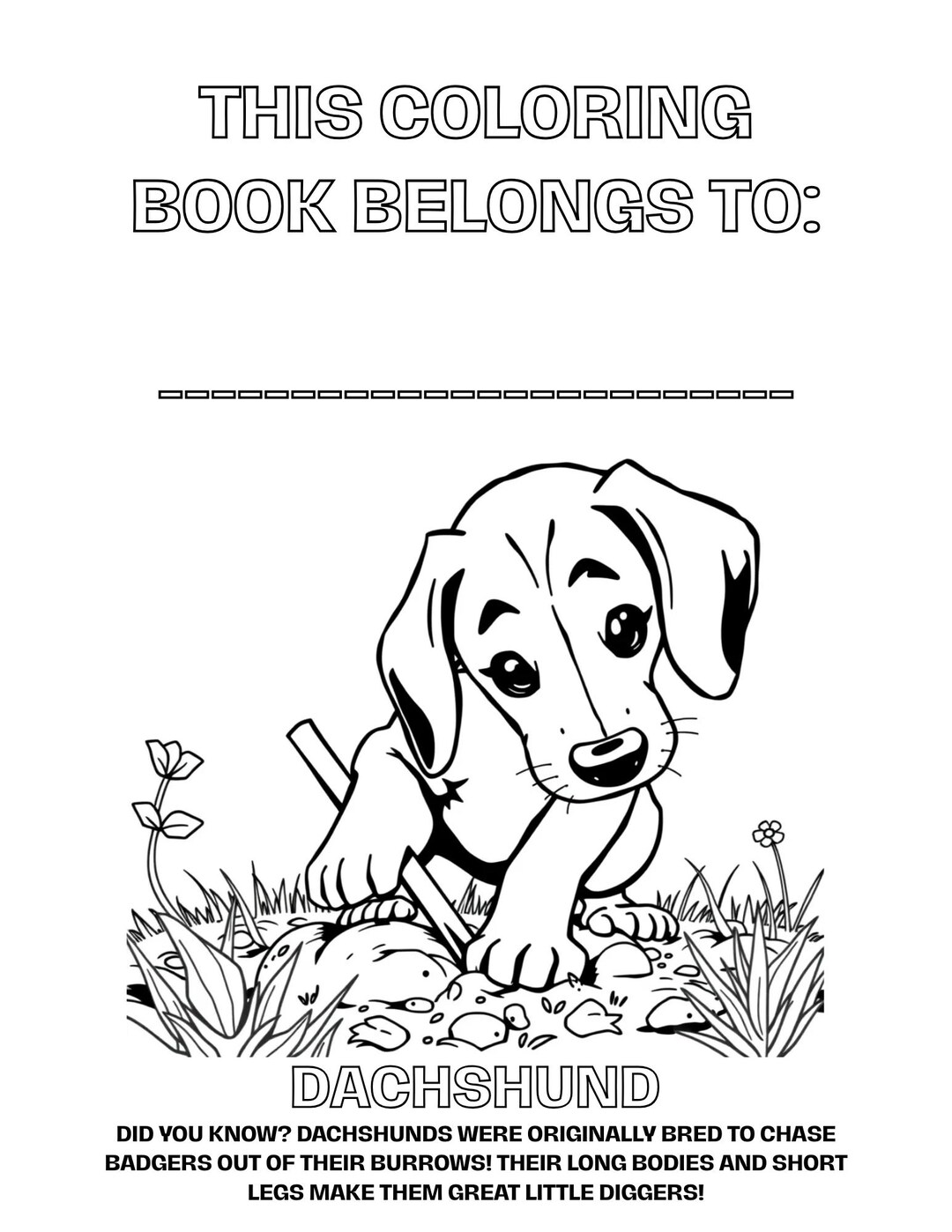 ABC Animal Adventures: A Fun Facts Coloring Book for Kids Personalized ...