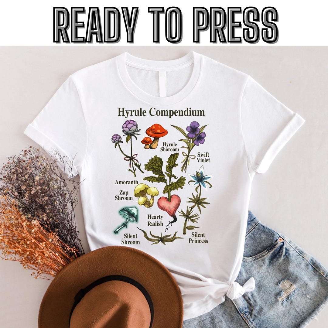 Hyrule Compendium Dtf,hyrule Korok Dtf,tears of the Kingdom, Breath of ...