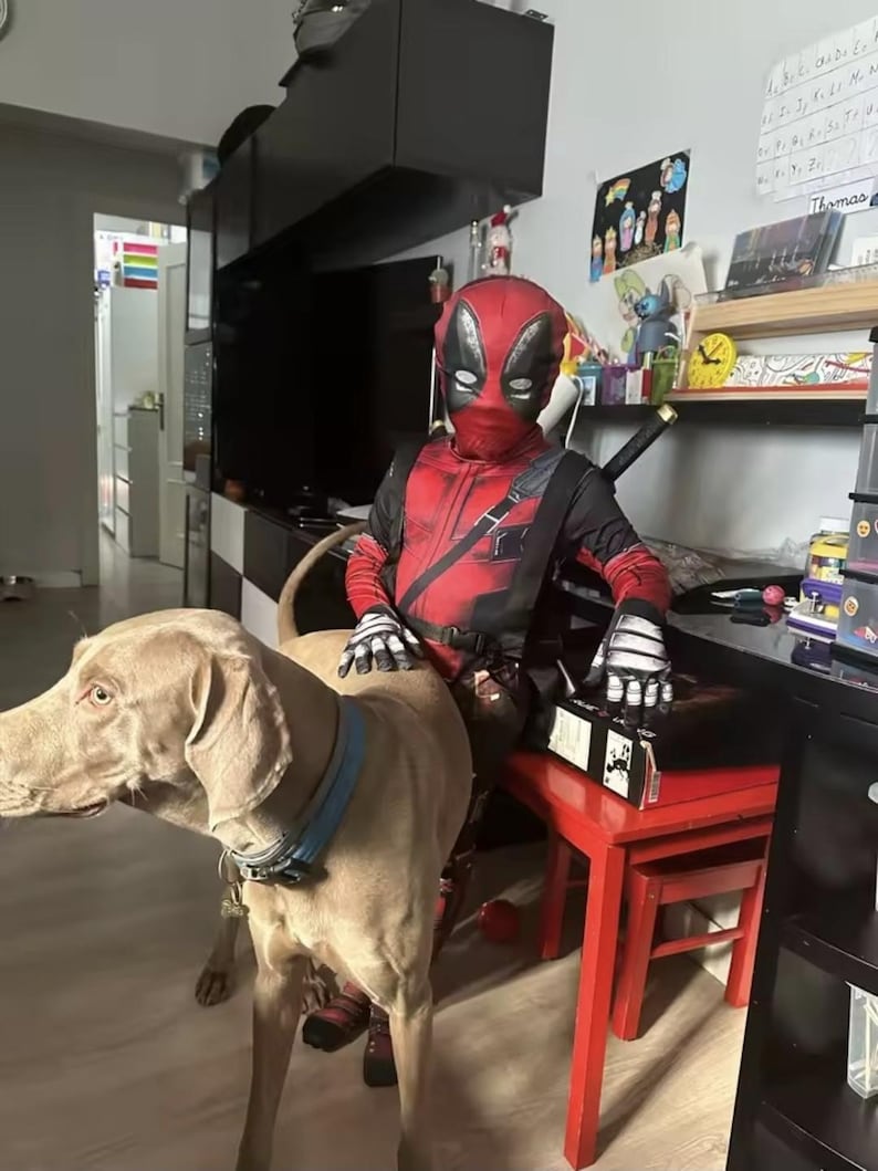 Deadpool Child Costume – Cosplay & Halloween Carnival - Etsy