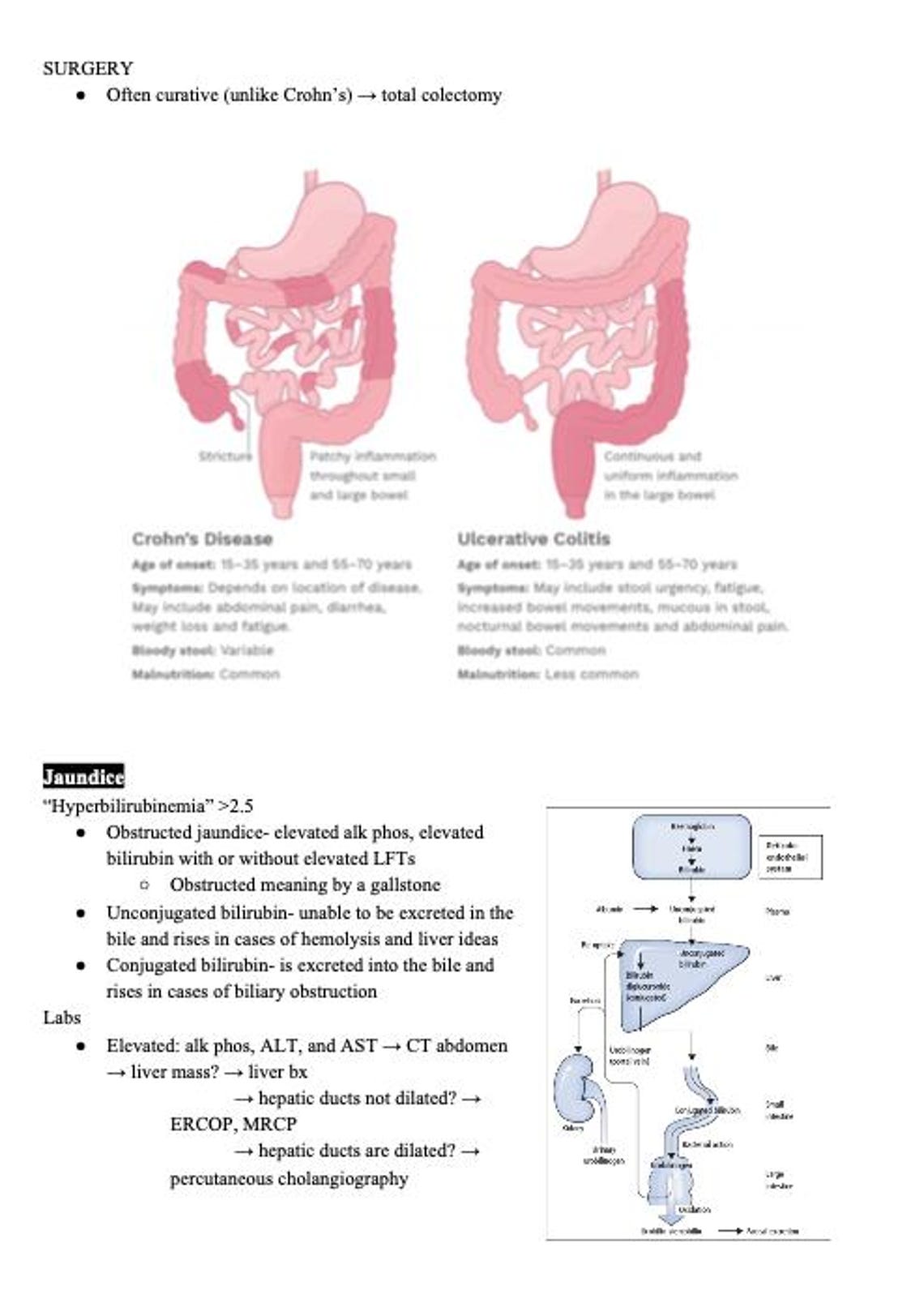 PA General Surgery End of Rotation Exam and PANCE Study Guide - Etsy