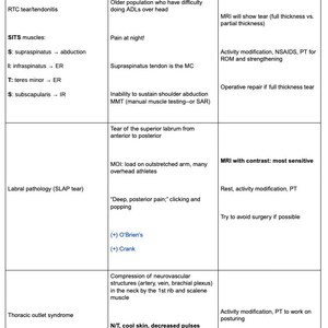 PA Orthopedic End of Rotation and PANCE Study Guide - Etsy