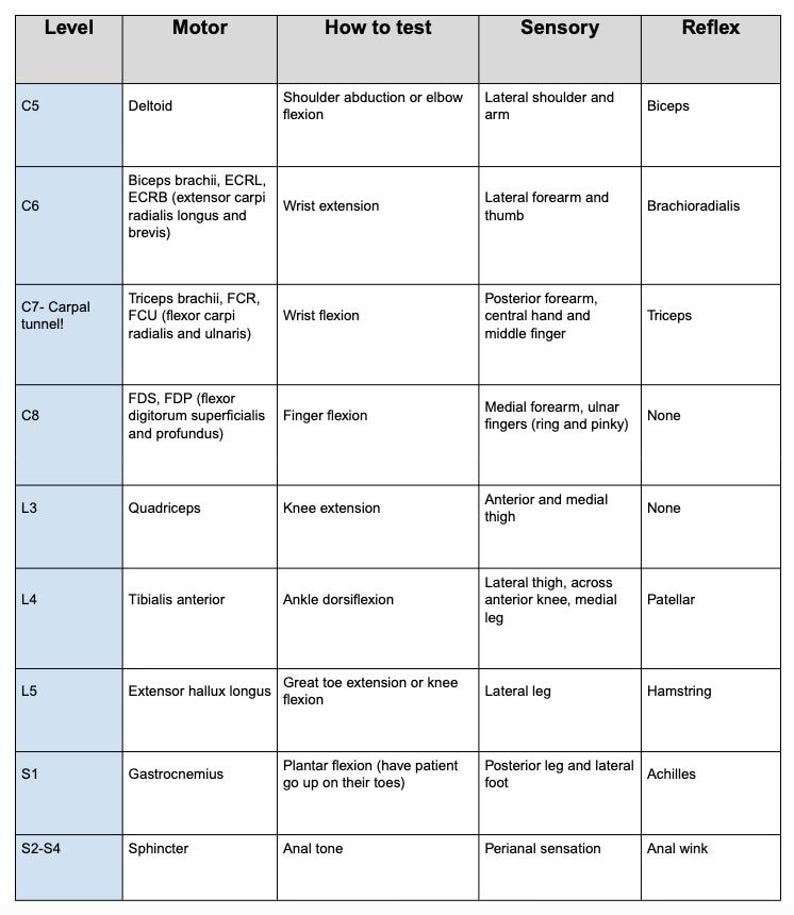 PA Orthopedic End of Rotation and PANCE Study Guide - Etsy