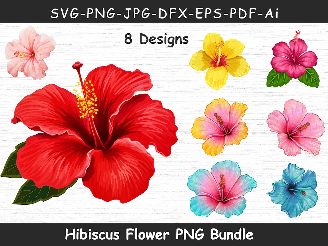 Watercolor Hibiscus Flower Clipart: Tropical PNG Collection (digital ...