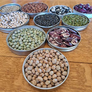 10 SPECIES COMBO Heirloom Legumes Rare Seeds for Planting, World ...