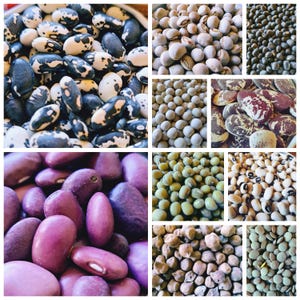 10 SPECIES COMBO Heirloom Legumes Rare Seeds for Planting, World ...
