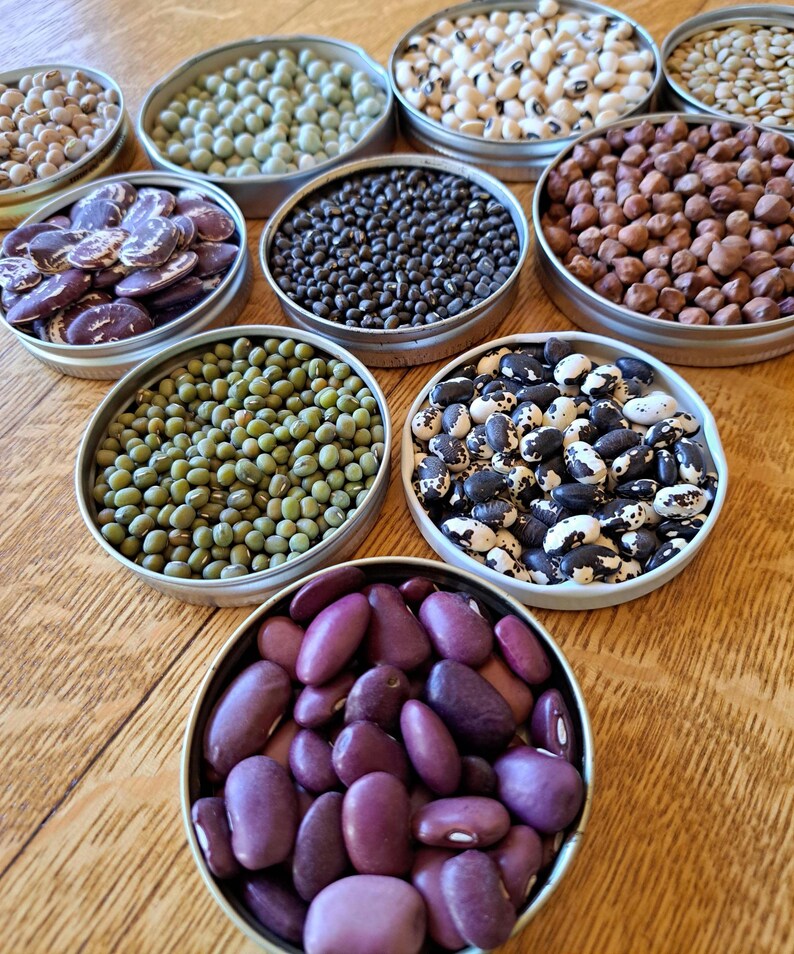 10 SPECIES COMBO Heirloom Legumes Rare Seeds for Planting, World ...