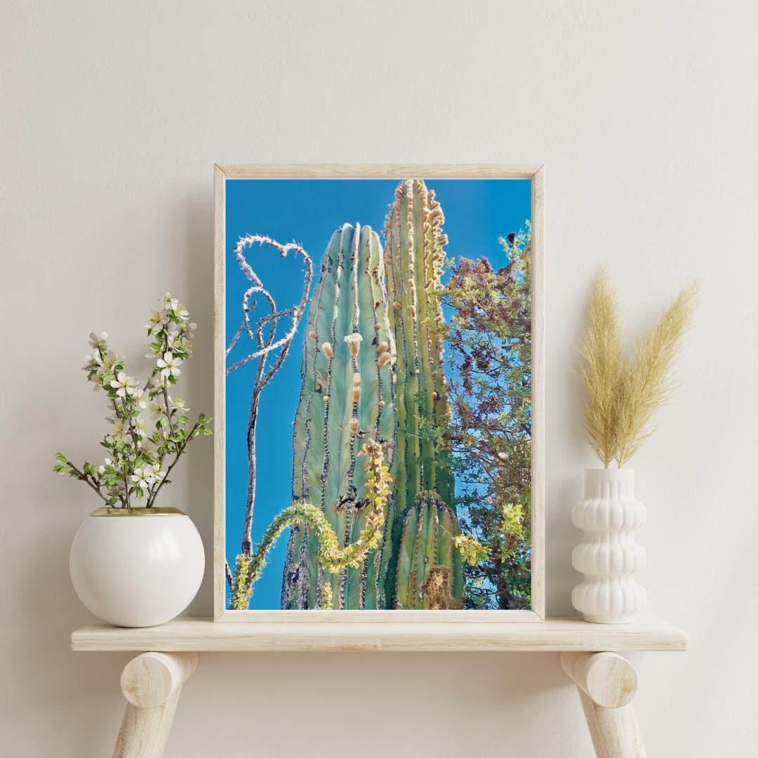 Heart Shaped Cardon Cactus Photography Print | Desert Landscape Wall ...
