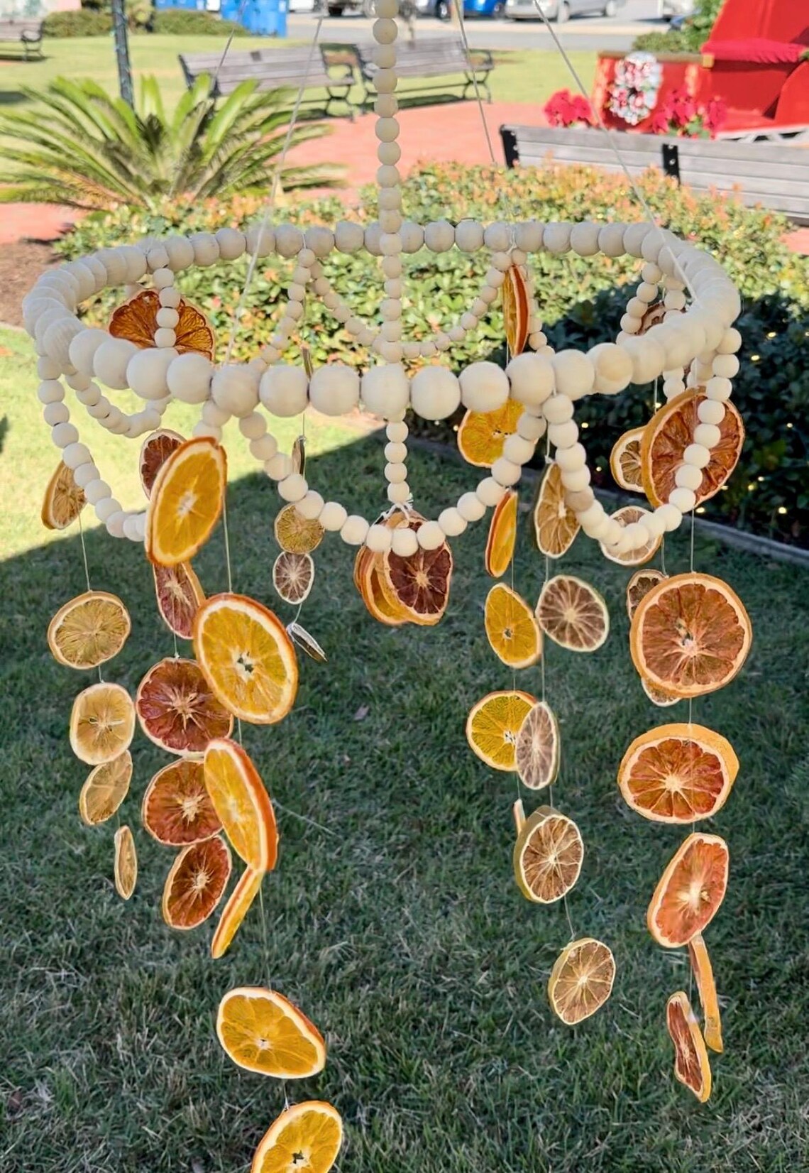 Dehydrated Fruit Sun Catcher Handmade Natural Window Décor, Eco ...