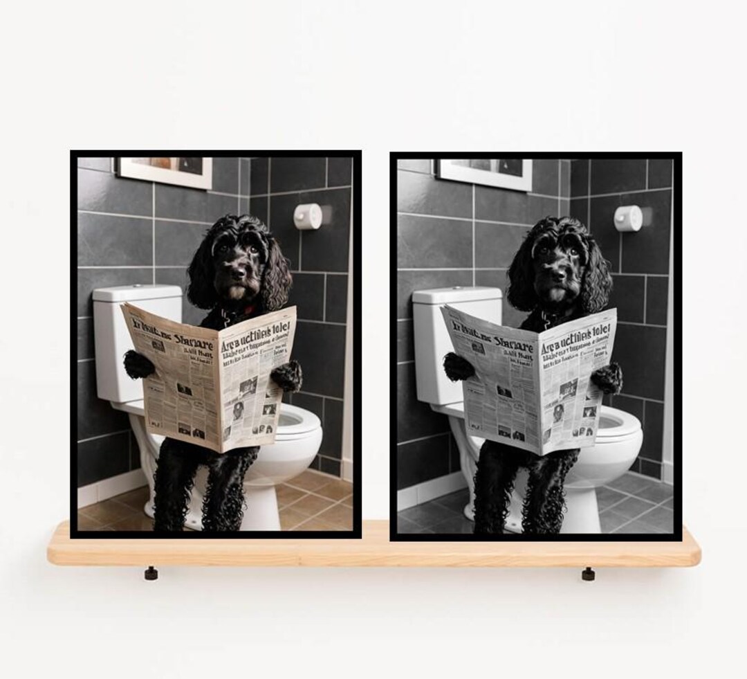 Black Cockapoo Sat on Toilet Reading Newspaper Dog Cute Funny Metal ...