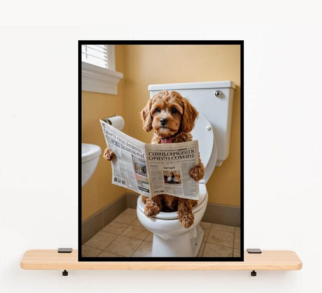 Cute Cavapoo Dog Sat on the Toilet Reading a Newspaper Funny Comedy ...
