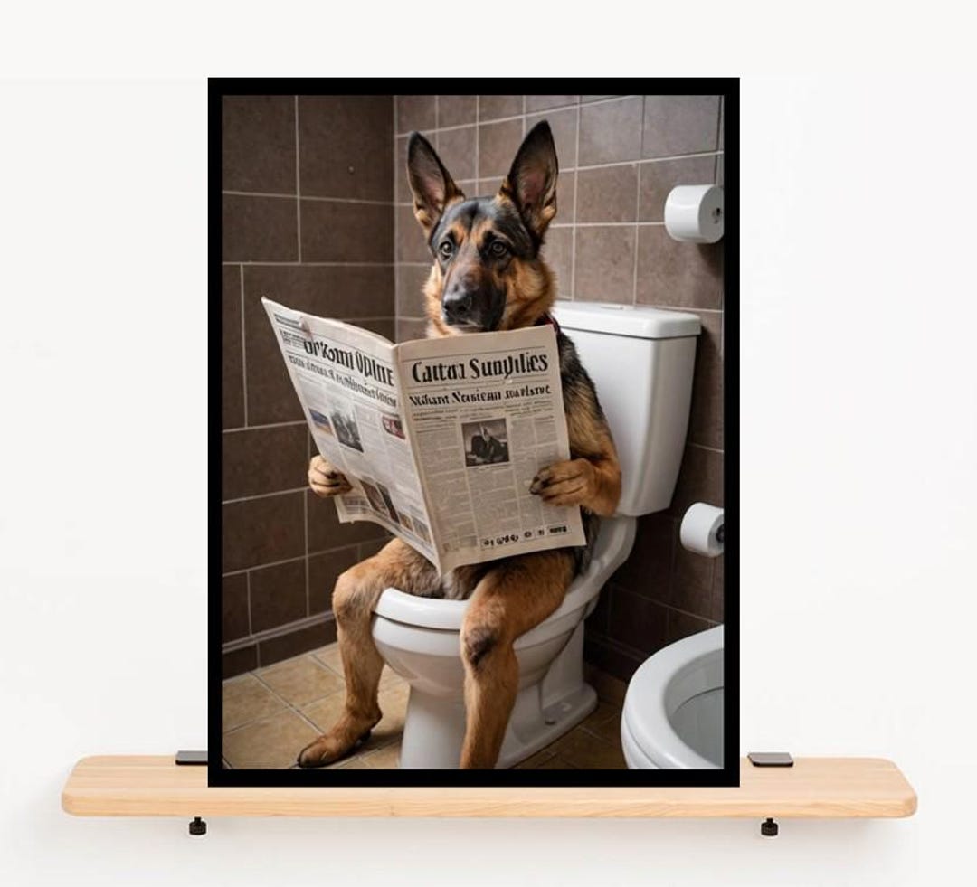 Alsatian German Shepherd Sat on the Toilet Reading a Newspaper Funny ...