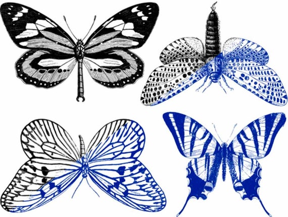 Custom Ceramic Waterslide Decals