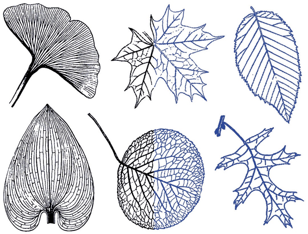 Cone 6 - Inglaze - Large Leaves - Decals for Ceramic - Lead Free - Food ...