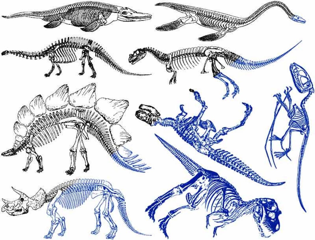 Cone 6 - Inglaze -dinosaur Skeleton - Ceramic Decal - LEAD FREE & Food ...