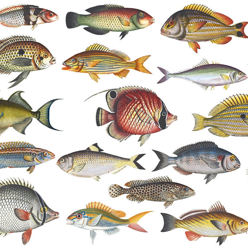 Ceramic Decals - Etsy