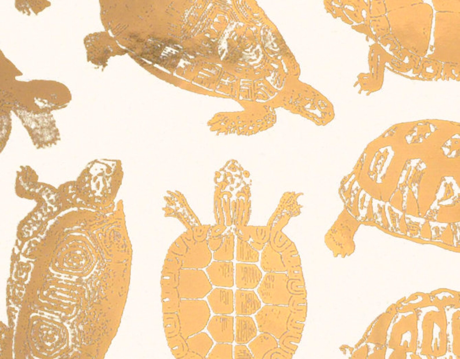 Land Turtle Ceramic Decals Glass Decals or Enamel Decals - Etsy