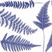 Ferns Ceramic Decals, Glass Decals or Enamel Decals - Etsy UK