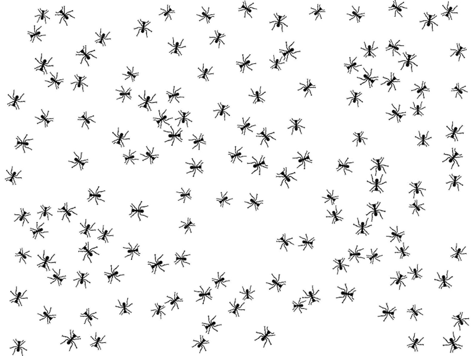 Cone 6 Hi Fire Ants Ceramic Decal Ceramic Transfers - Etsy