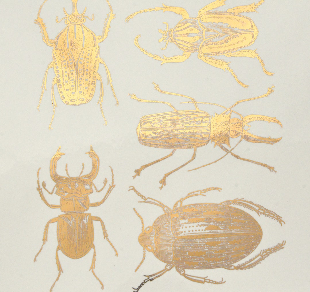 Large Scarab Beetles - Ceramic Overglaze Decal - Glass Fusing Decal ...