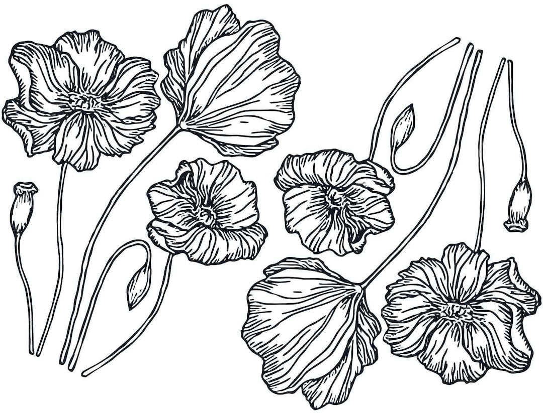 Cone 6 - Inglaze - Poppies - Ceramic Overglaze Decal - LEAD FREE & Food ...