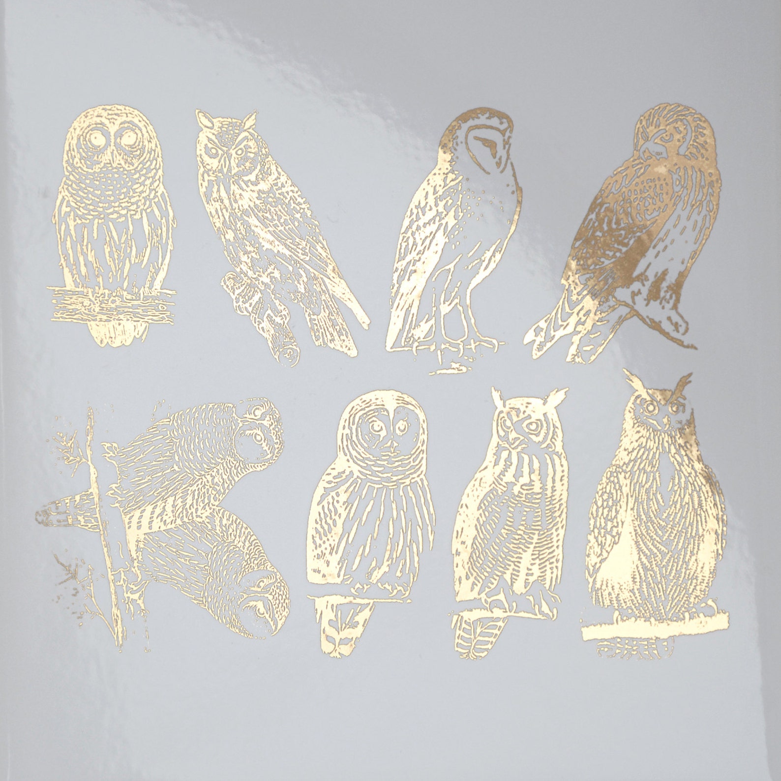 Owl Ceramic Decals Glass Decals or Enamel Decals - Etsy