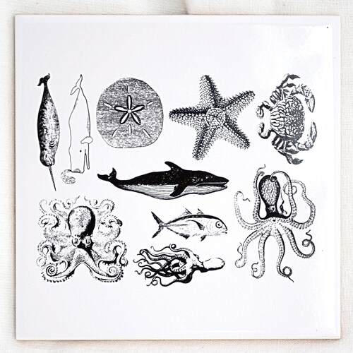 Colorful Fish 2 Foodsafe Ceramic Decal Enamel Decal | Etsy