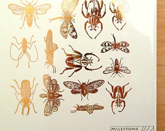 Insect Transfer | Etsy