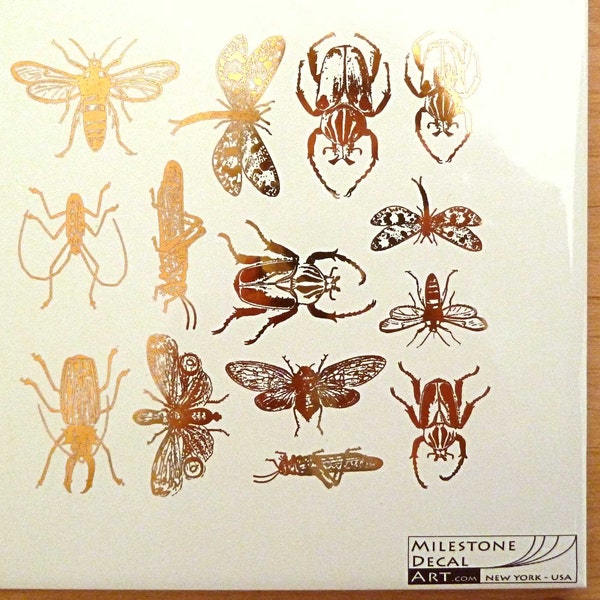 Insect Decals - Etsy