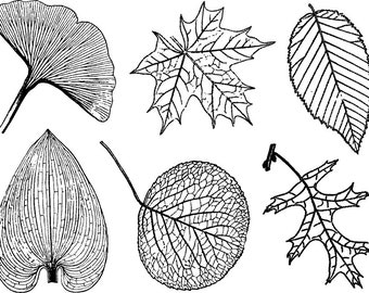 Decals, Ceramic Decals Enamel Decal Fusible Decal Glass Fusing Decal ...