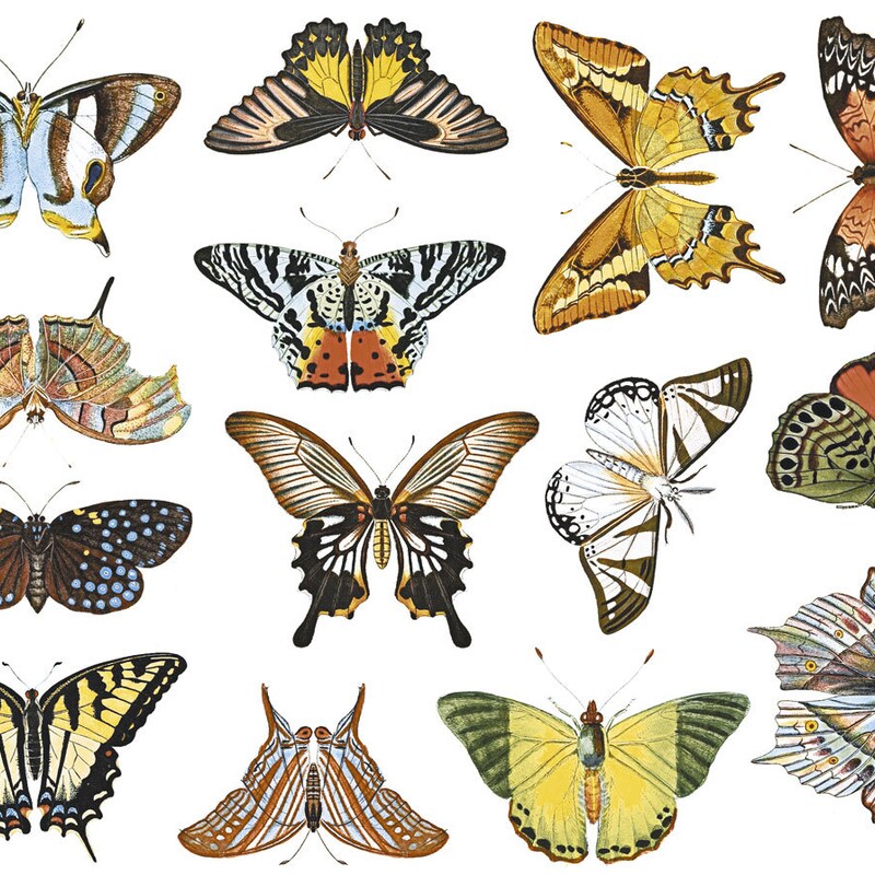 Overglaze Decals Colorful - Etsy