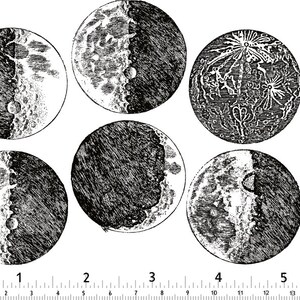 CONE 6 Moons Ceramic Decals, Glass Decals or Enamel Decals - Etsy