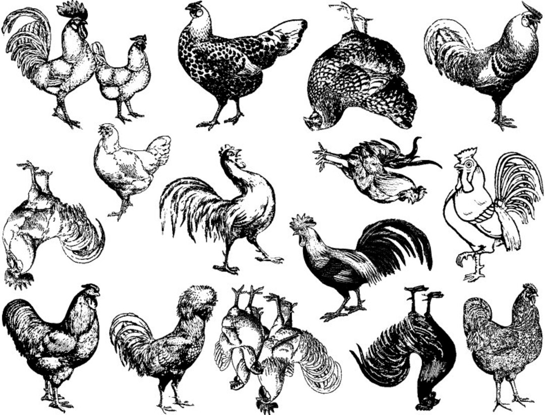 Cone 6 - Inglaze - Vintage Chickens Waterslide Ceramic Decals - Lead ...