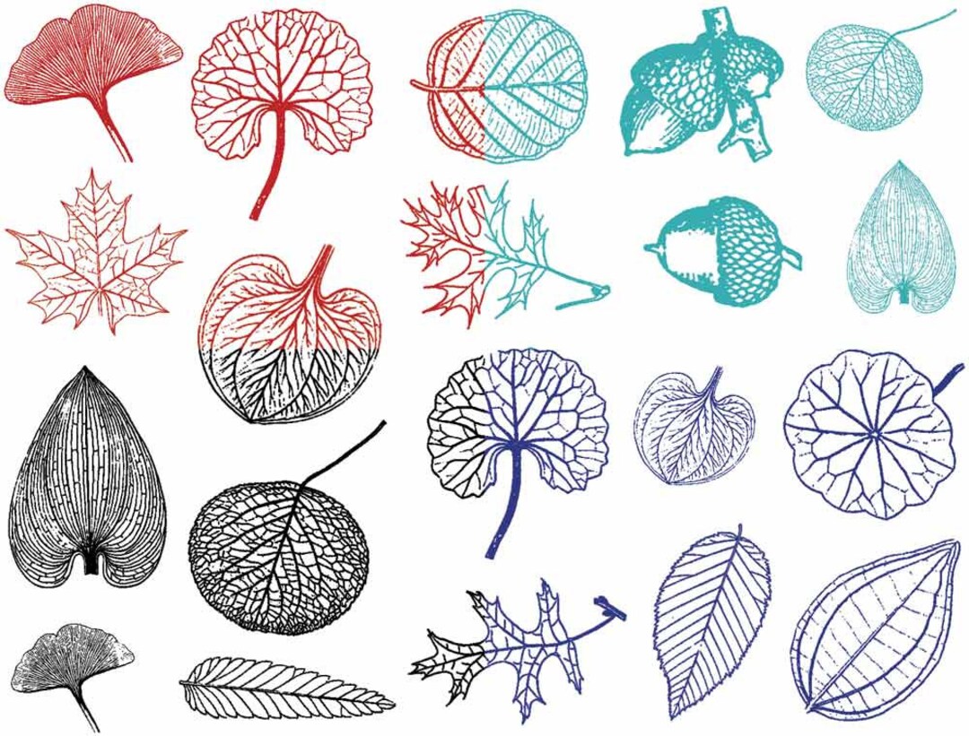 Cone 6 - Inglaze - Small Leaves Decals for Ceramic - Lead Free - Food ...