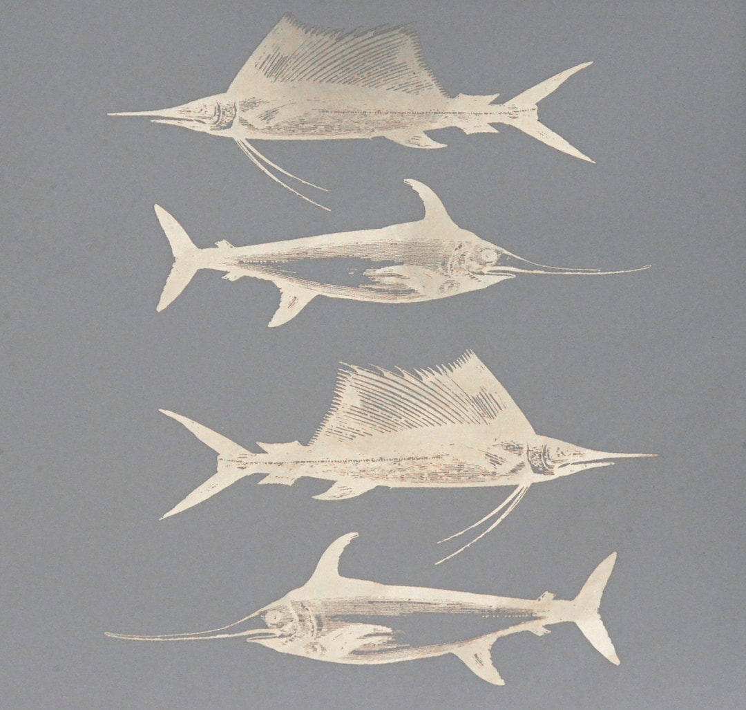 Sailfish and Sportfish - Ceramic Overglaze Decal - Glass Fusing Decal ...