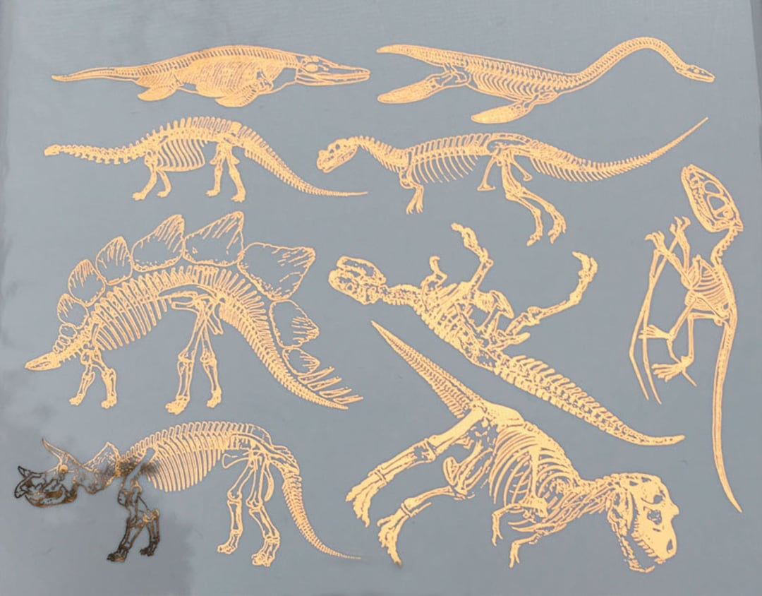 Dinosaur Skeletons - Ceramic Overglaze Decal - Glass Fusing Decal ...