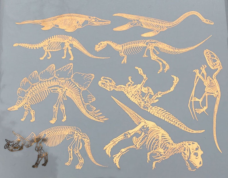 Dinosaur Skeletons - Ceramic Overglaze Decal - Glass Fusing Decal ...