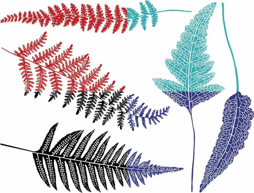 CONE 6 - Inglaze - Ferns Ceramic Decals - Etsy