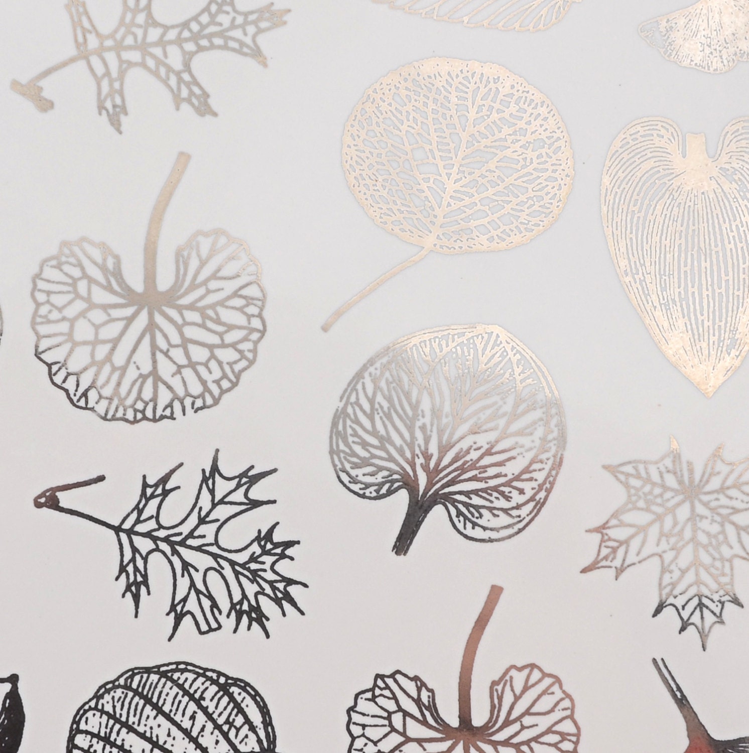 Small Leaves Decals for Ceramic Glass and Enamel - Etsy