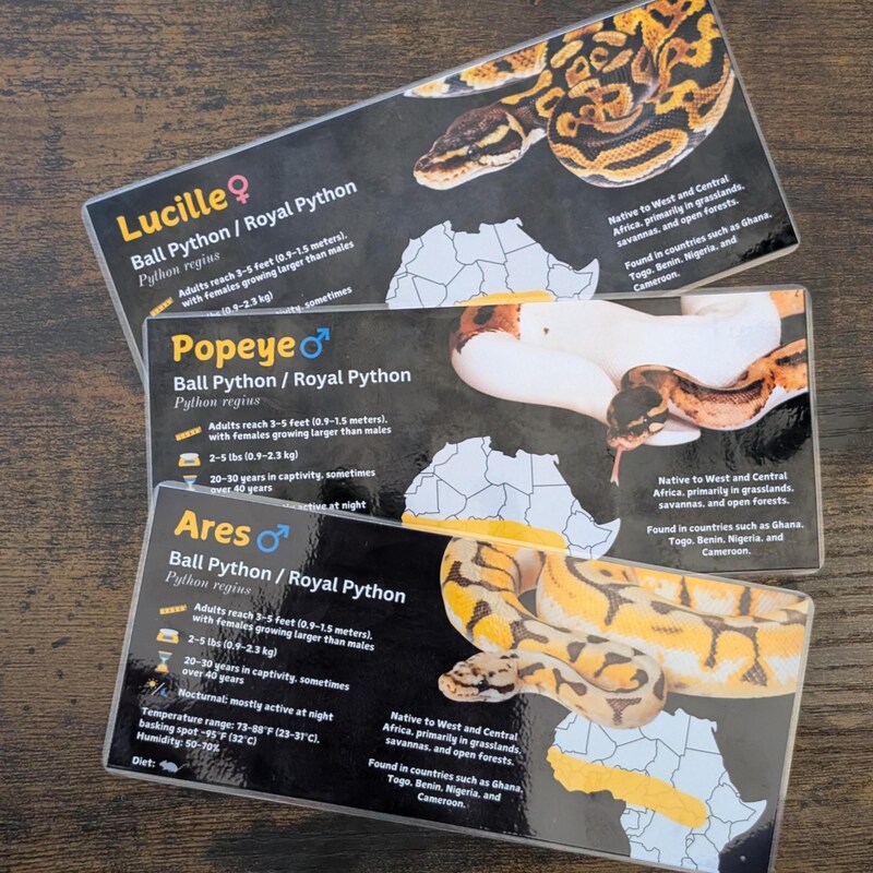 Reptile Enclosure - Etsy