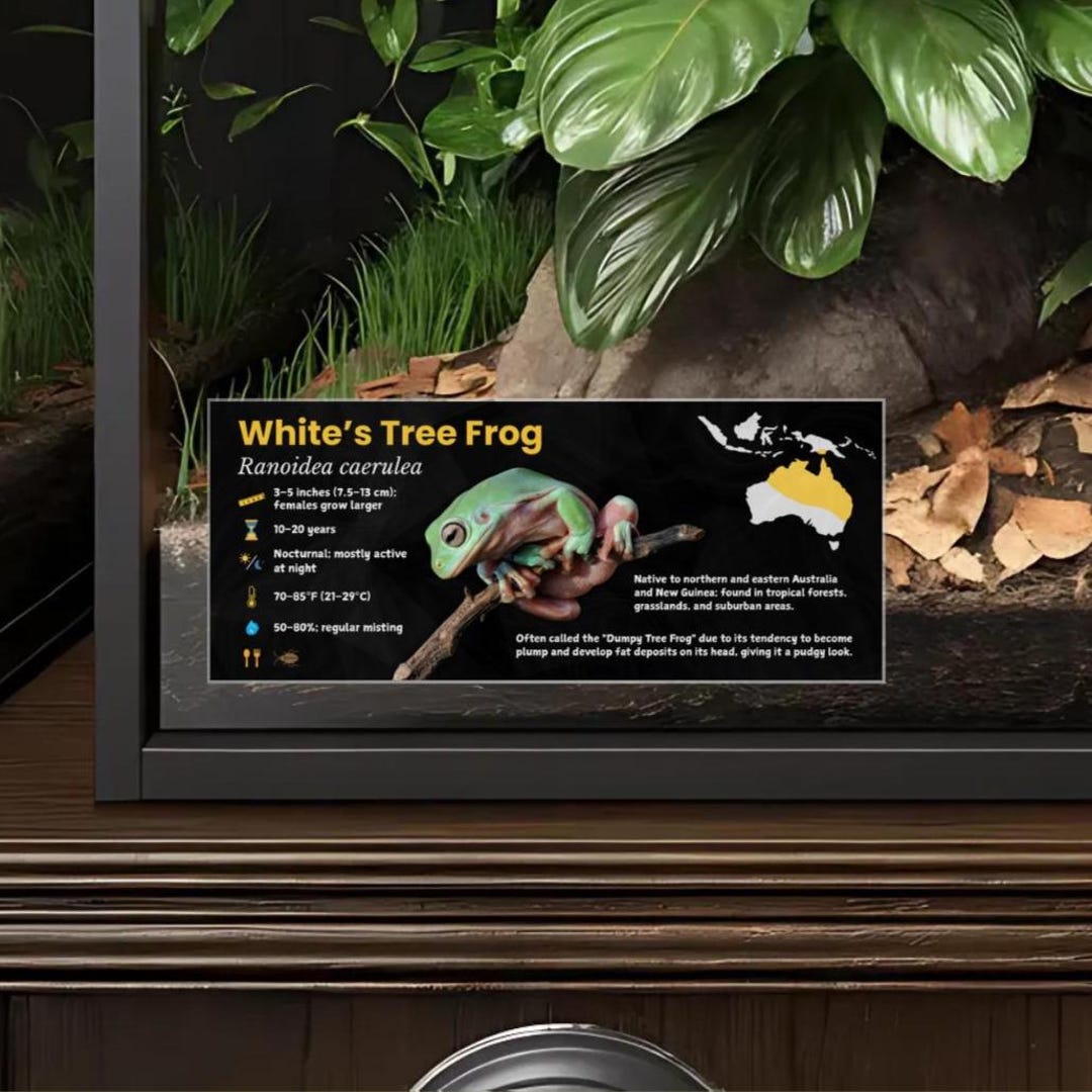 White's Tree Frog Species Label - Laminated Amphibian Info Tag ...
