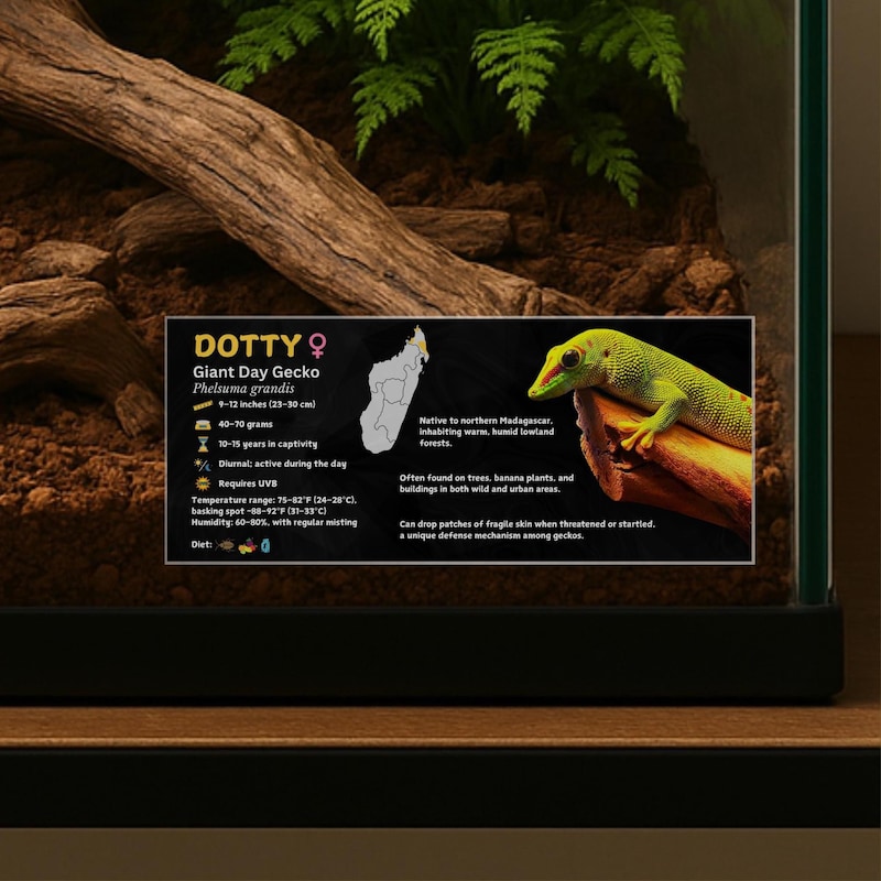 Custom terrarium label - Etsy.de