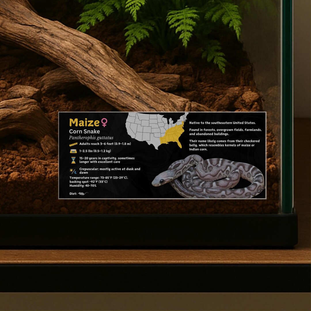Personalized Corn Snake Enclosure Label: Laminated Vivarium Information ...