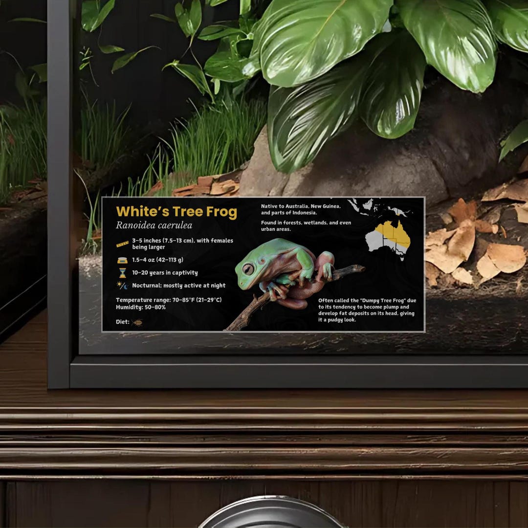 White's Tree Frog Species Label - Laminated Amphibian Info Tag ...