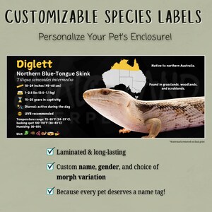 Personalized Northern Blue-tongue Skink Species Label, Custom Name ...