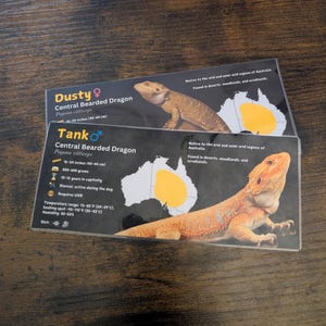 Personalized Bearded Dragon Species Label, Custom Name Laminated ...